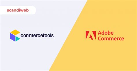 Basics Of Website Development A Step By Step Guide For 2024