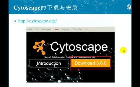 用cytoscape绘制网络图 哔哩哔哩 bilibili