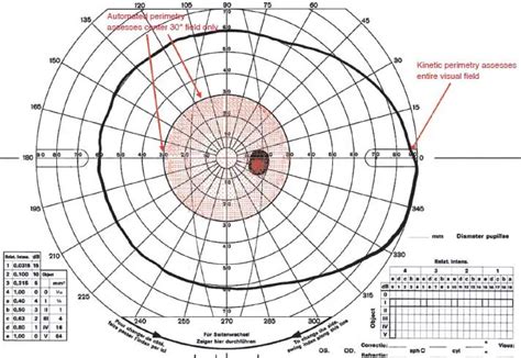 2020 2021 Bcsc Basic And Clinical Science Course™