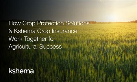 How Crop Protection Solutions And Crop Insurance Work Together