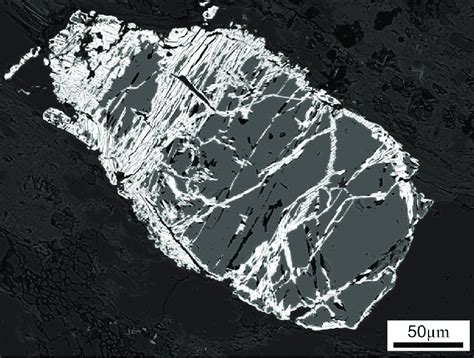 Hypidiomorphic Grain Of Fluorapatite Grey Replaced By Metatorbernite Download Scientific