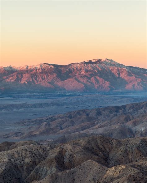 Tom Brickman Artlogic Test Do Not Delete Thomas Dane Gallery