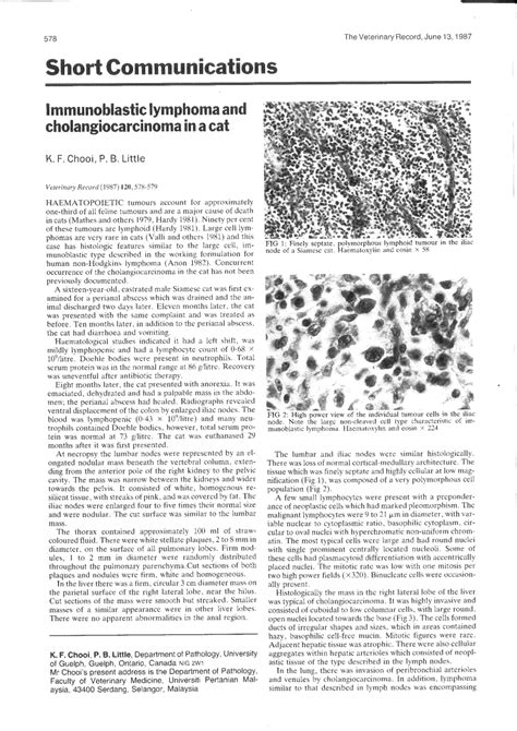 Pdf Immunoblastic Lymphoma And Cholangiocarcinoma In A Cat