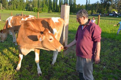 Cow Protection Vedic Cultural Center