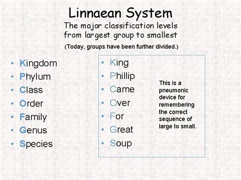 Classification Organizing Lifes Diversity Classification Classification Putting Objects
