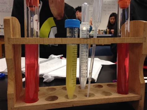 Joshua S Biology Blog DNA Extraction Lab Conclusion