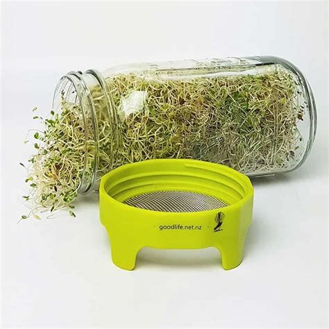 Sprouting Jar Kit Shipped From Nz Goodtohave
