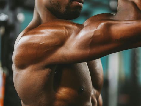 Guide To Hammer Curls Benefits Muscles Worked And Proper Form