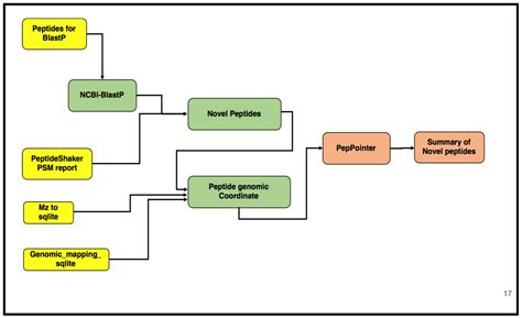 Proteogenomics 3 Novel Peptide Analysis