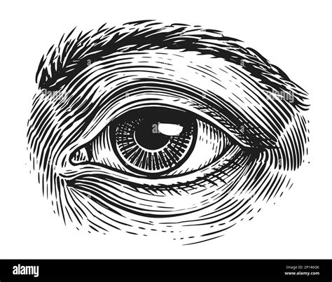 Ojo humano en estilo grabado Dibujado a mano ilustración de boceto