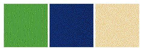 Set Of Three Colorful Turing Reaction Gradient Backgrounds Abstract