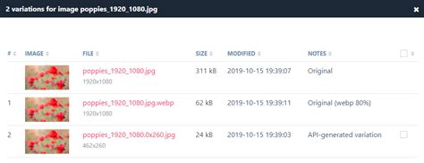 Webp Support Page Wishlist Roadmap Processwire Support Forums