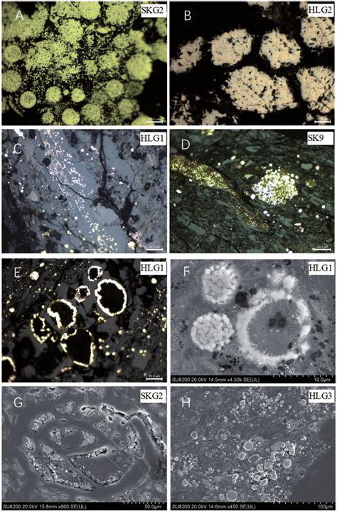 Micromorphological Forms Of Pyrite Present In Heshan Coalfield A