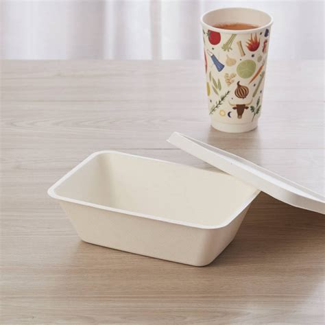 Disposable Biodegradable Takeaway Containers For Food Bioleader