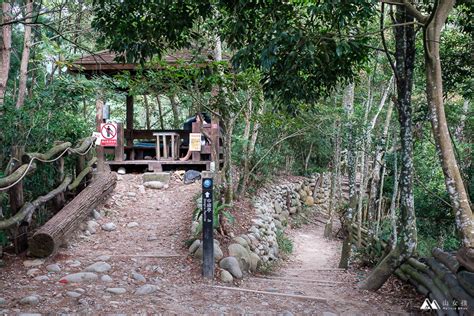 台中北屯大坑四號步道原木階梯步道小有挑戰性登台中人的後山頭嵙山 輕旅行