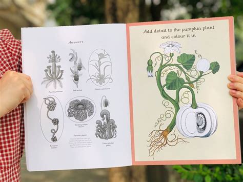 Botanicum Activity Book Chính Hãng Giá Rẻ Choivahoc