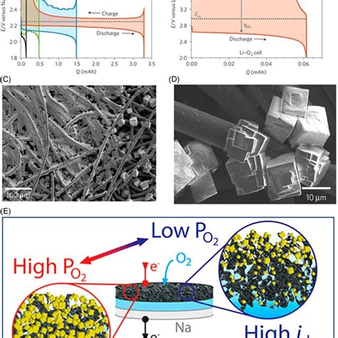 Xiaoting Lin Postdoc Position Phd The University Of Western Ontario London Uwo