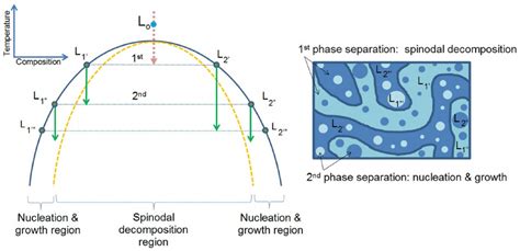 Schematic Diagram Showing Multi Step Phase Separation Sequence And