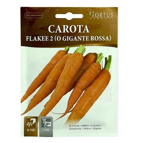 Carrot Vegetable Seeds Growhub Ae
