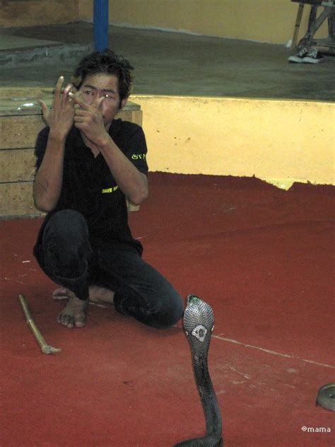 Maman Maailma Thaimaa Phuket 2009