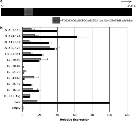 Linker Scanning Mutagenesis Reveals That Sequences Between Positions À