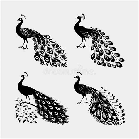 Open Peacock Stock Illustrations 1135 Open Peacock Stock