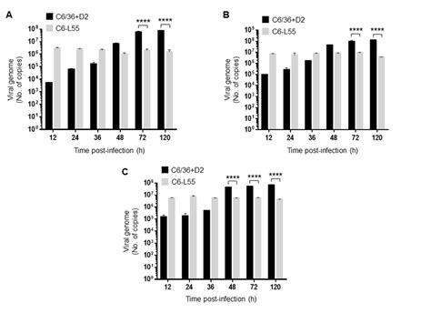 Determination Of Viral Genome Copy Number It Was Determined By Rt Qpcr
