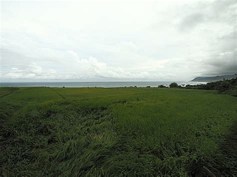 新社梯田、月洞遊憩區、花蓮觀光糖廠、蕃薯寮，豐盛的噶瑪蘭風味餐 — 2023花蓮行旅 第二部 太平洋岸與縱谷景點，外掛令人懷念的海鮮美食
