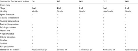 Identification Of The Strongest Dye Decolorizing Bacteria Isolated From