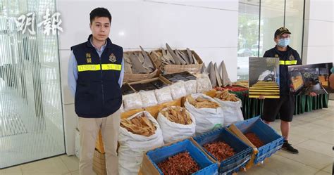 海關油塘工業區搗走私案拘一男 檢紅珊瑚海味市值約1400萬 1630 20230629 港聞 即時新聞 明報新聞網
