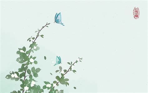 【古风插画】蝴蝶蔷薇花石家小鬼 站酷zcool