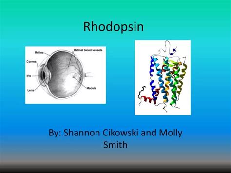 PPT Rhodopsin PowerPoint Presentation Free Download ID