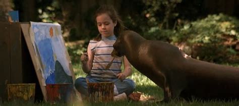 Andre Mon Meilleur Copain Les Enfants Du Cinoche