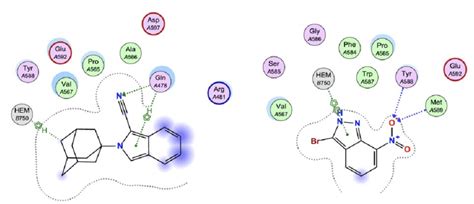Binding Interactions And Binding Affinity Kcal Mol Of Compound 1 And