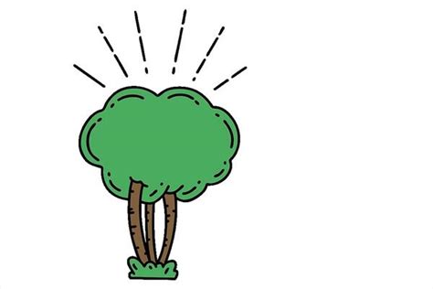 Growing Tree Animation Stock Video Footage For Free Download