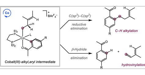 C Sp3 C Sp2 Reductive Elimination Versus β Hydride Elimination From