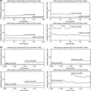 MRNArRNA Sequence Complementarity On MRNA 5 UTRs For The Space