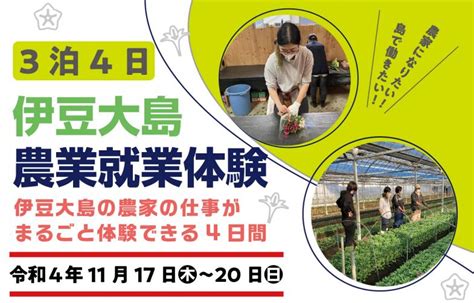 伊豆大島農業就業体験開催 参加者募集 3泊4日 農業体験ニュース 農業をはじめる JP 全国新規就農相談センター