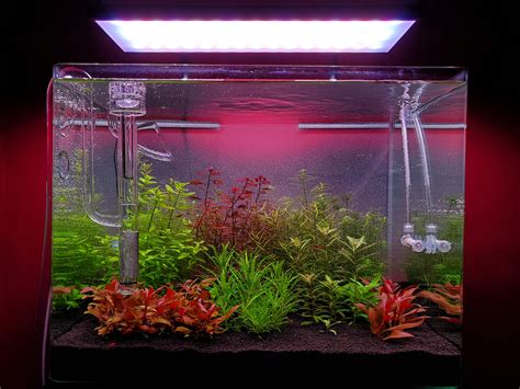 My Dennerle L Scapers Tank R PlantedTank