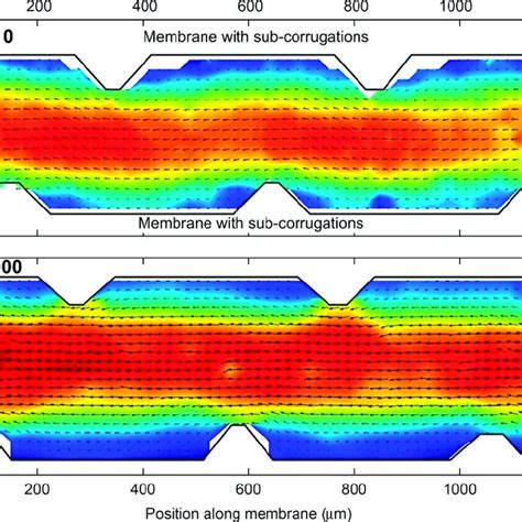 velocity fields obtained by particle tracking velocimetry ptv of