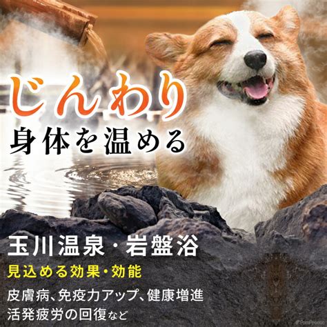 【平日14時までの注文で即発送】自宅で簡単温泉効果 リラックス 冷え対策 介護 腰痛 ケガ じんわり 温浴カドラー対応ラジウム健康マット ポン
