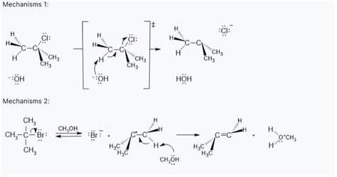 [solved] identify e1 and e2 reactions discuss the differences between those course hero