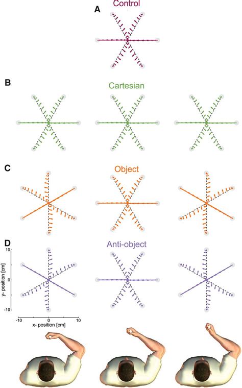 The Sensorimotor System Can Sculpt Behaviorally Relevant Representations For Motor Learning Eneuro