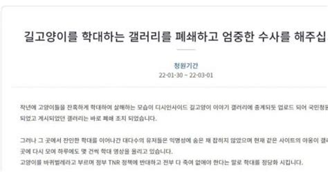 잔혹 살해 후 인증까지길고양이 학대 갤러리 악마들 재등장에 엄벌 촉구