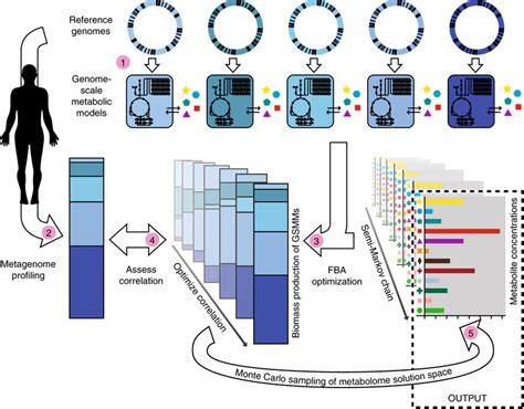 Overview Of The Mambo Algorithm Reference Microbial Genomes Are Used To Download Scientific