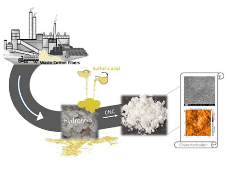 Pdf Isolation And Characterization Of Cellulose Nanocrystals From