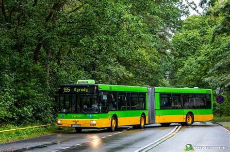Gallery Kategoria Autobusy Zabytkowe Obraz Man Ng313 1073