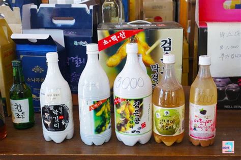 [단양] 단양여행 100년 전통의 대강 양조장 소백산 막걸리 네이버 블로그