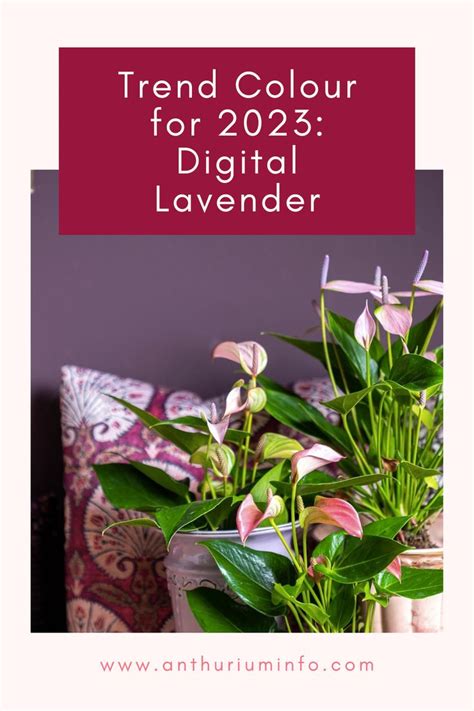 Digital Lavender Is One Of The Colour Trends For 2023 Color Trends