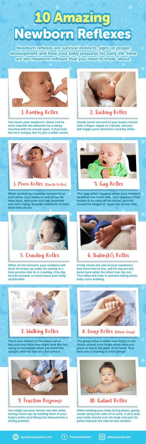 Newborn Reflexes Ppt Neonatal Reflexes Powerpoint Presentation